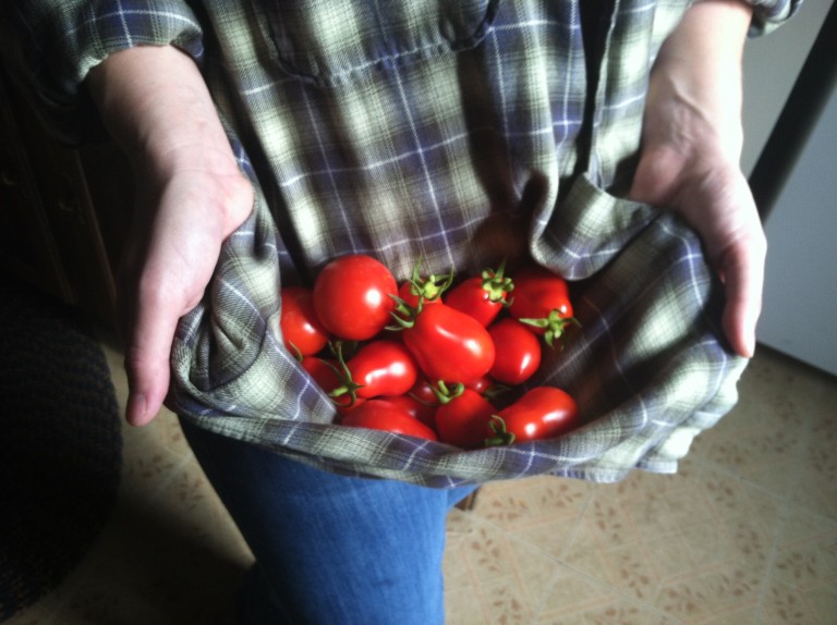 Flannel Dog Farm – Grow. Raise. Make.